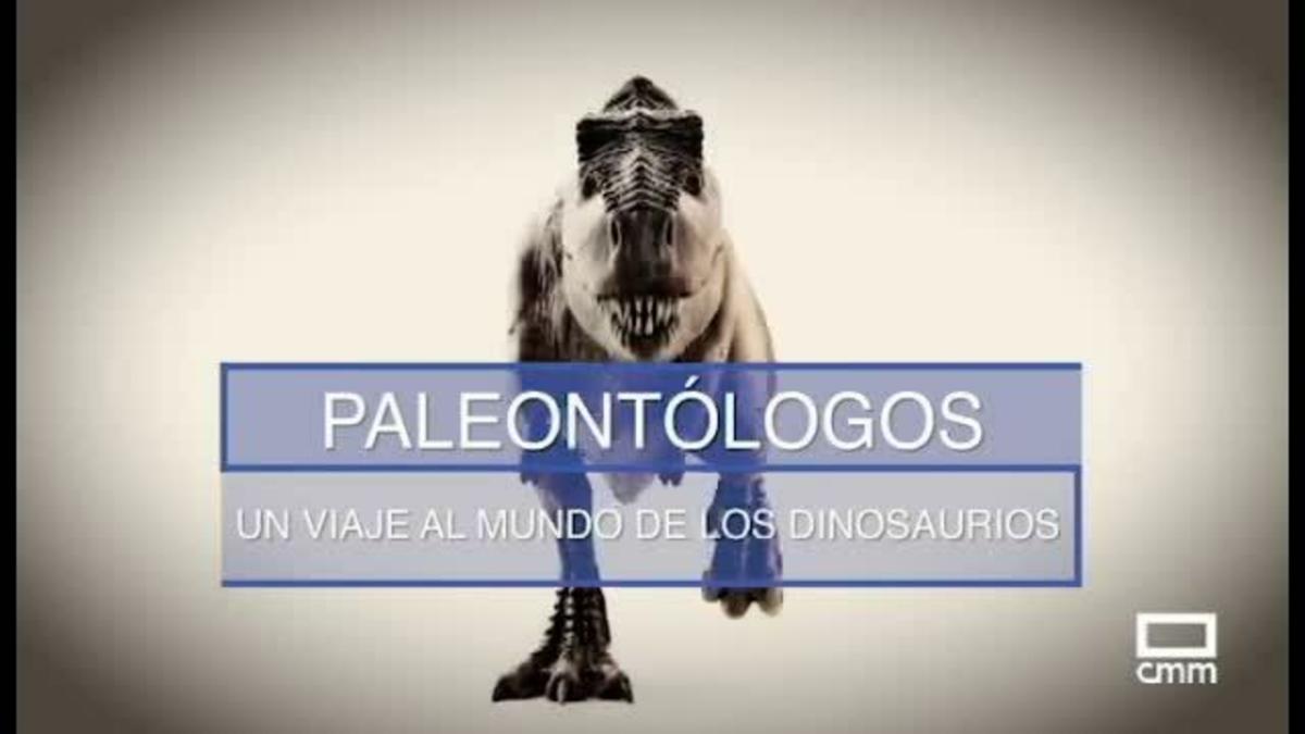 Paleontólogos, un viaje al mundo de los dinosaurios | Héroes Anónimos ...