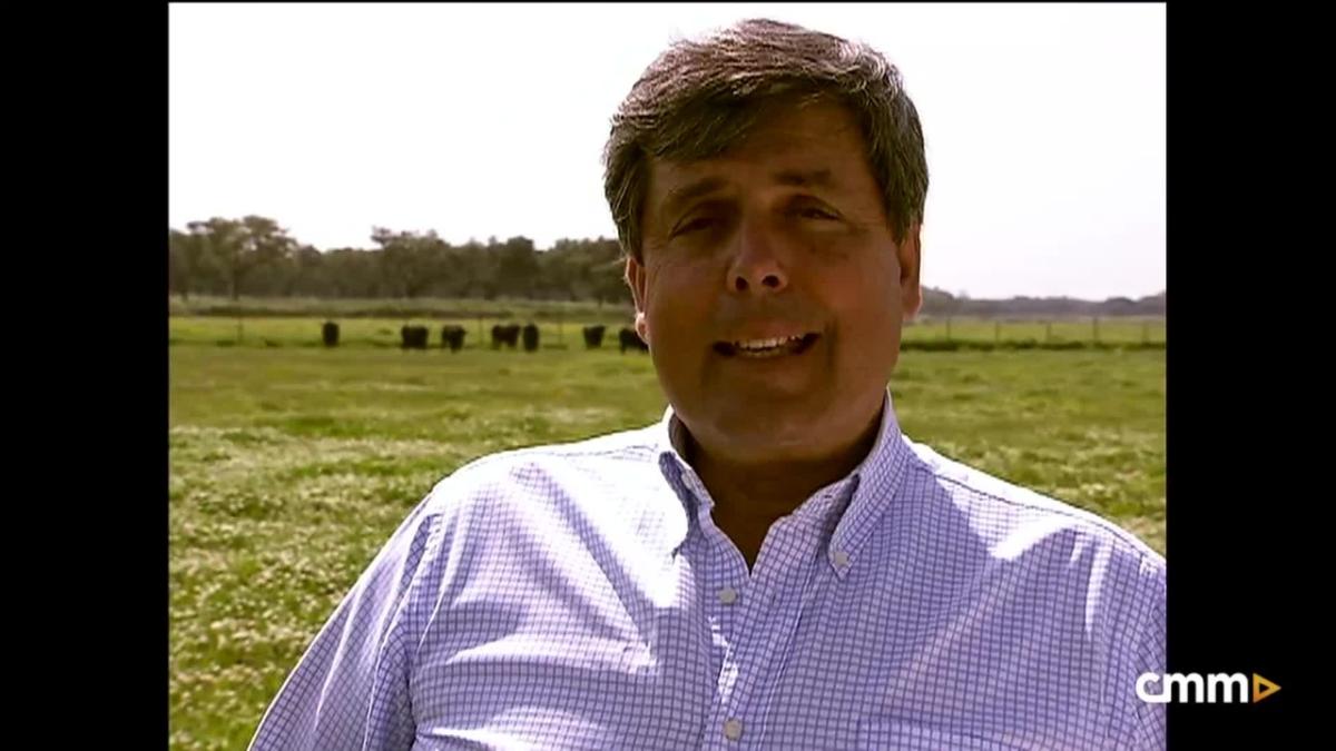 Palha | Nuestro Campo Bravo - CMM Play