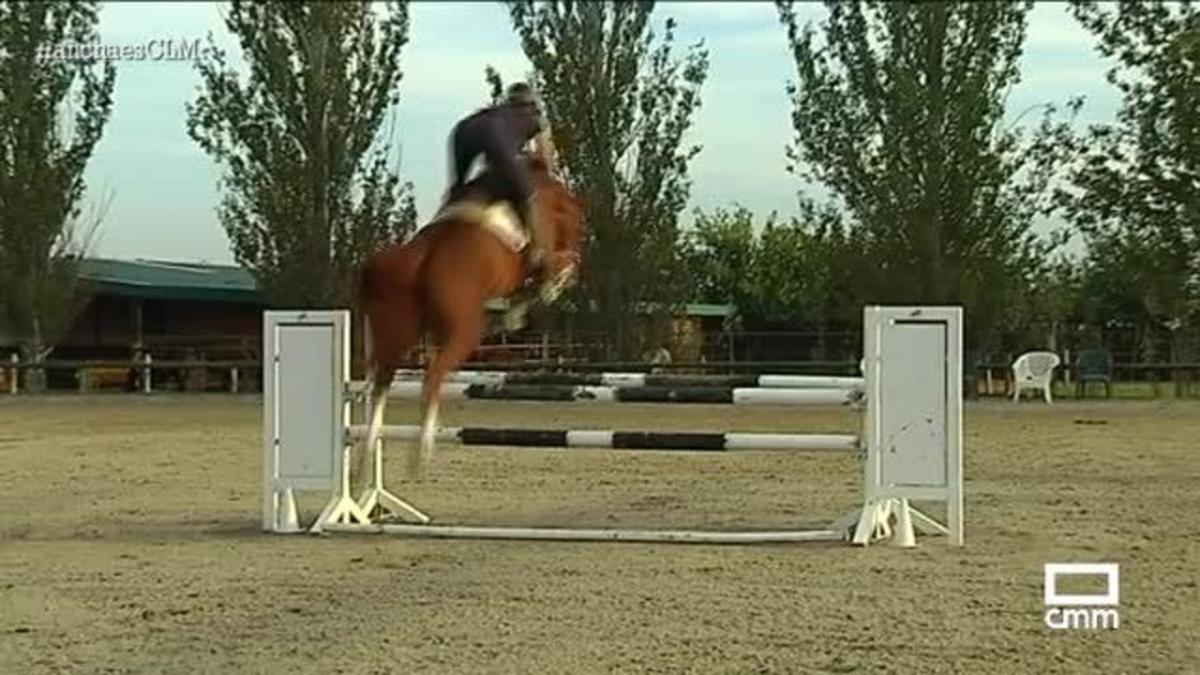 Así crían los mejores caballos de salto