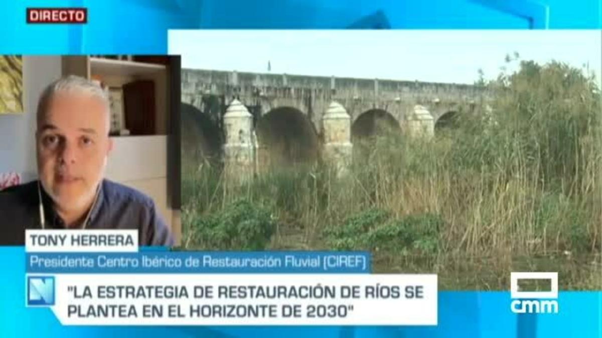 Entrevista a Tony Herrera | Castilla-La Mancha Despierta - CMM Play