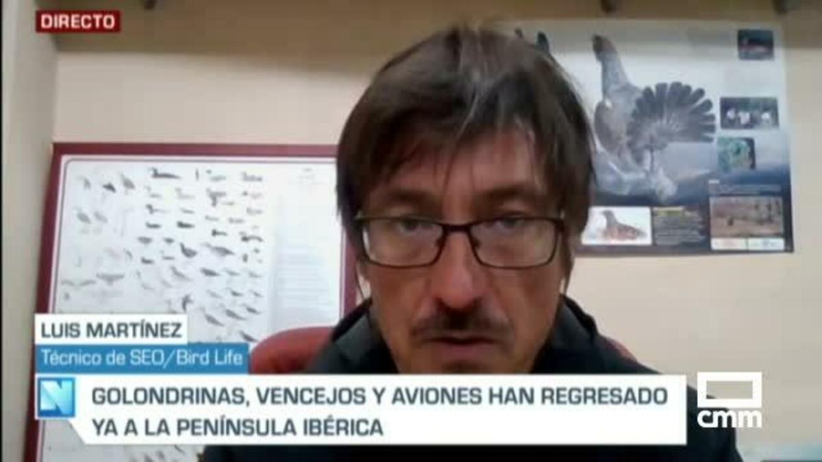 Entrevista a Luis Martínez | Castilla-La Mancha Despierta - CMM Play