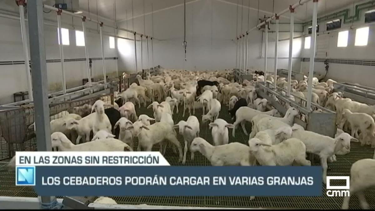 Los cebaderos podrán cargar en varias granjas - 30/06/23 | TV | El ...