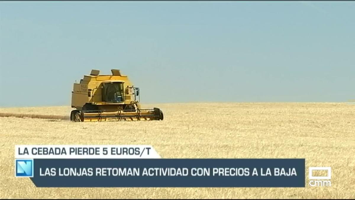 Las lonjas retoman actividad con precios a la baja - 11/09/23 | El ...