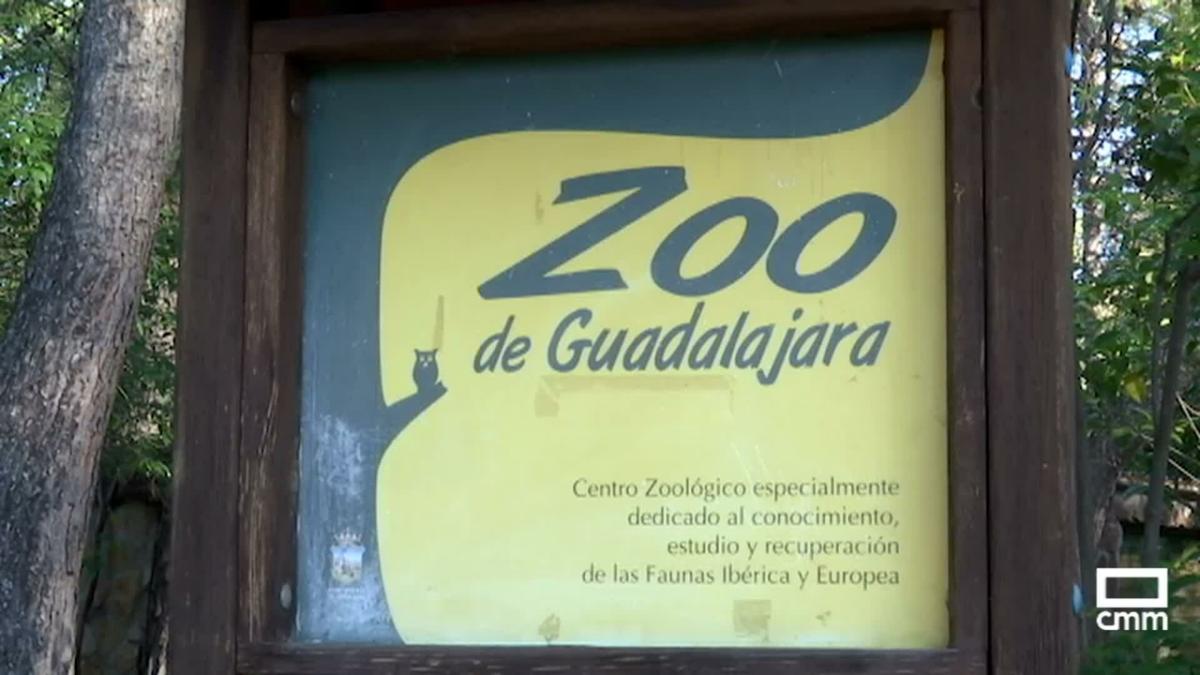 Zoo de Guadalajara: centro dedicado a la recuperación de la fauna ...