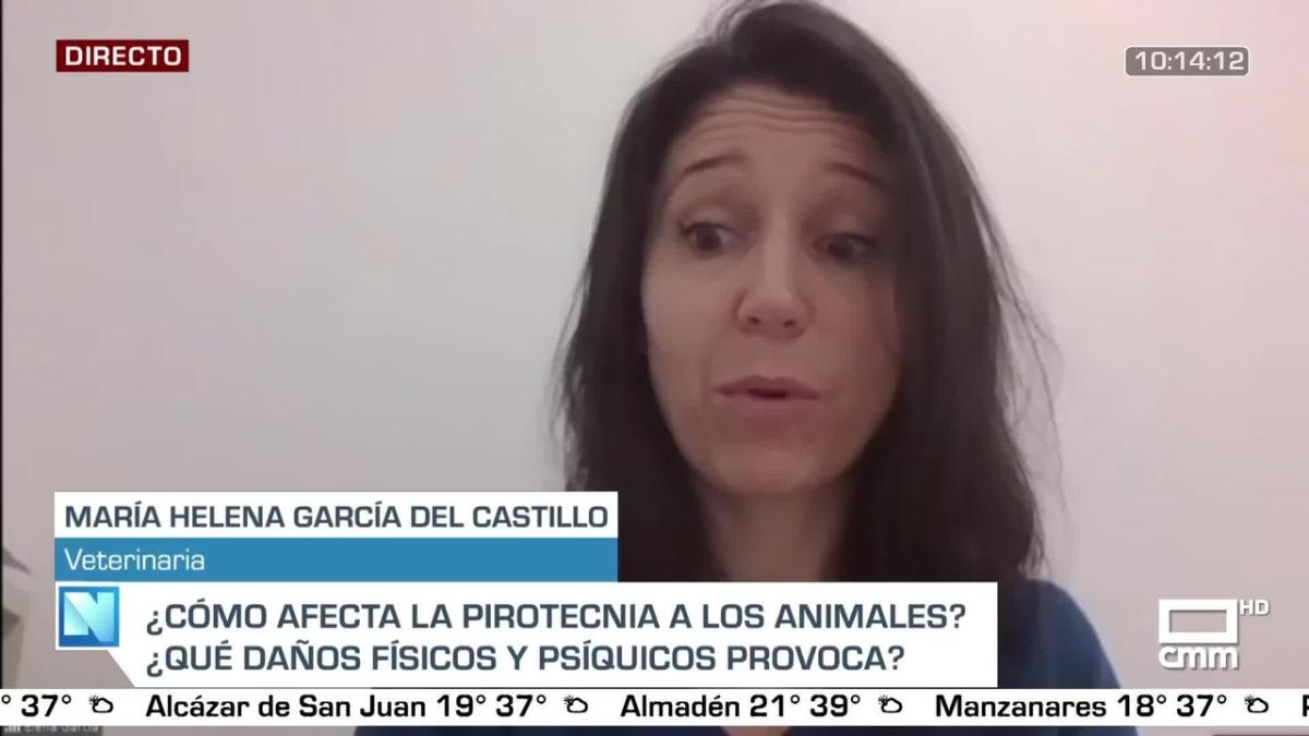 Entrevista a María Helena García del Castillo | Castilla-La Mancha ...