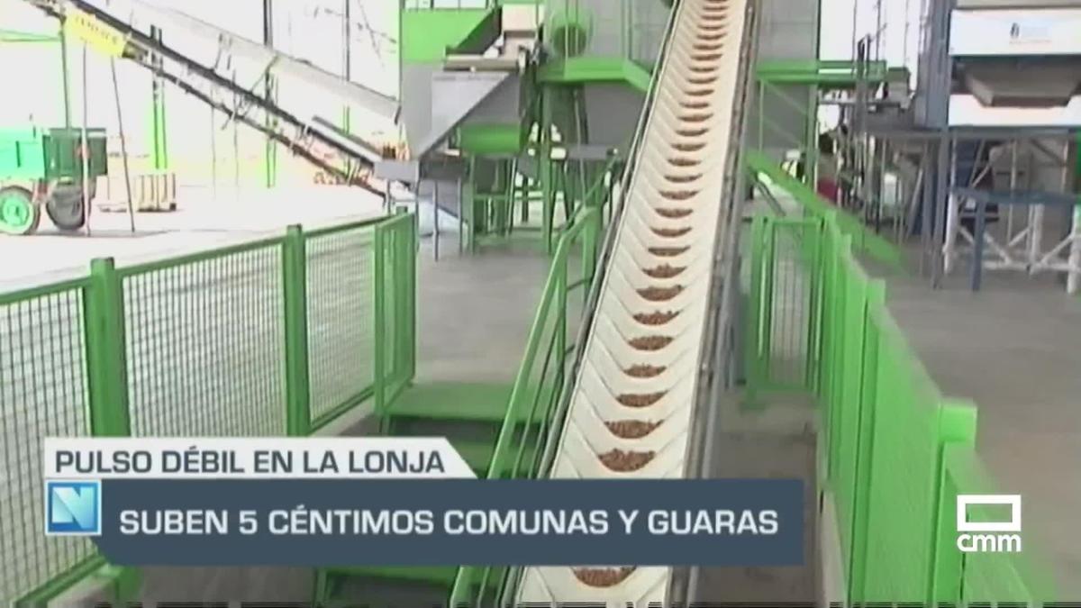 Pulso débil en la lonja, con la subida de 5 céntimos de comunas y ...