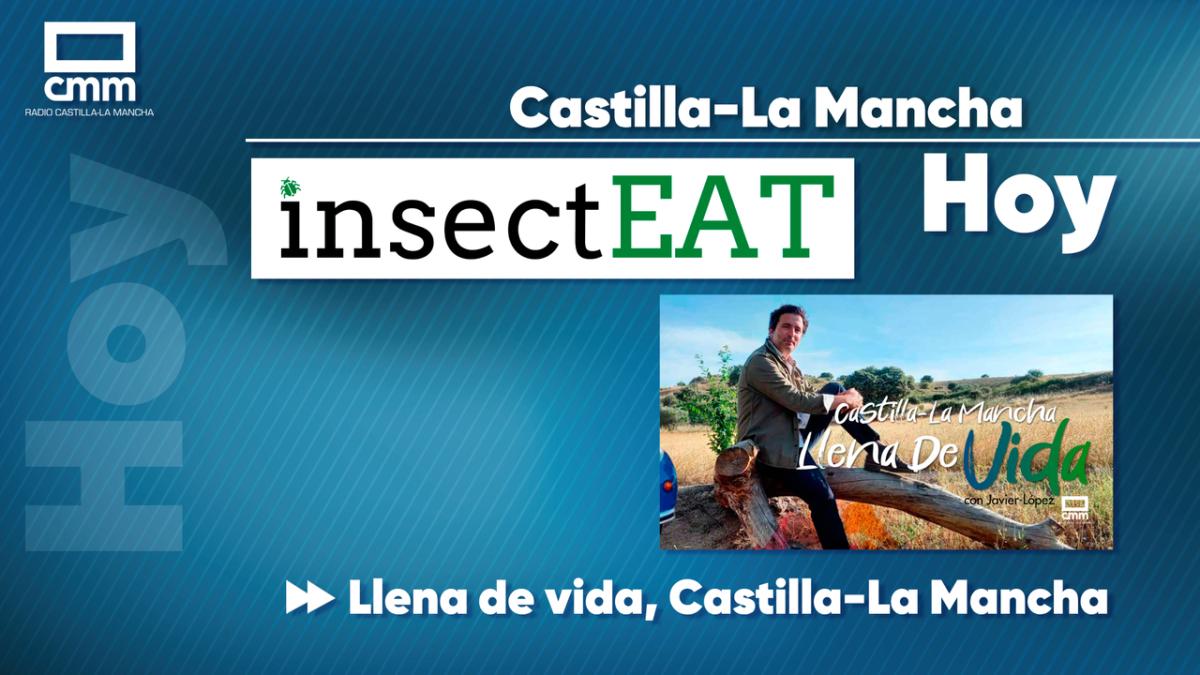 InsectEAT, el proyecto rural de gastronomía de insectos - Llena de Vida ...