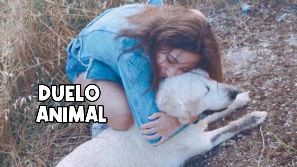 Duelo animal: 'existe, es profundo y es digno' | Albacete | TV ...