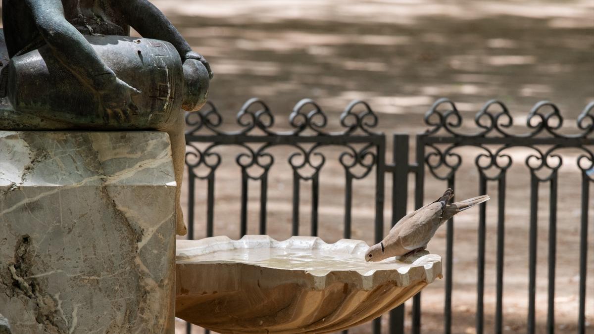 Municipios por encima de los 40 grados en Castilla-La Mancha: hay ...
