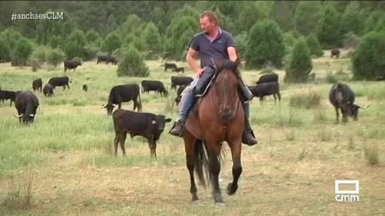 Tomás, uno de los últimos vaqueros de reses bravas trashumantes